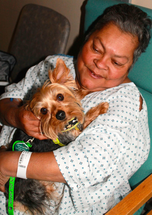 Our Programs | PAWS for People