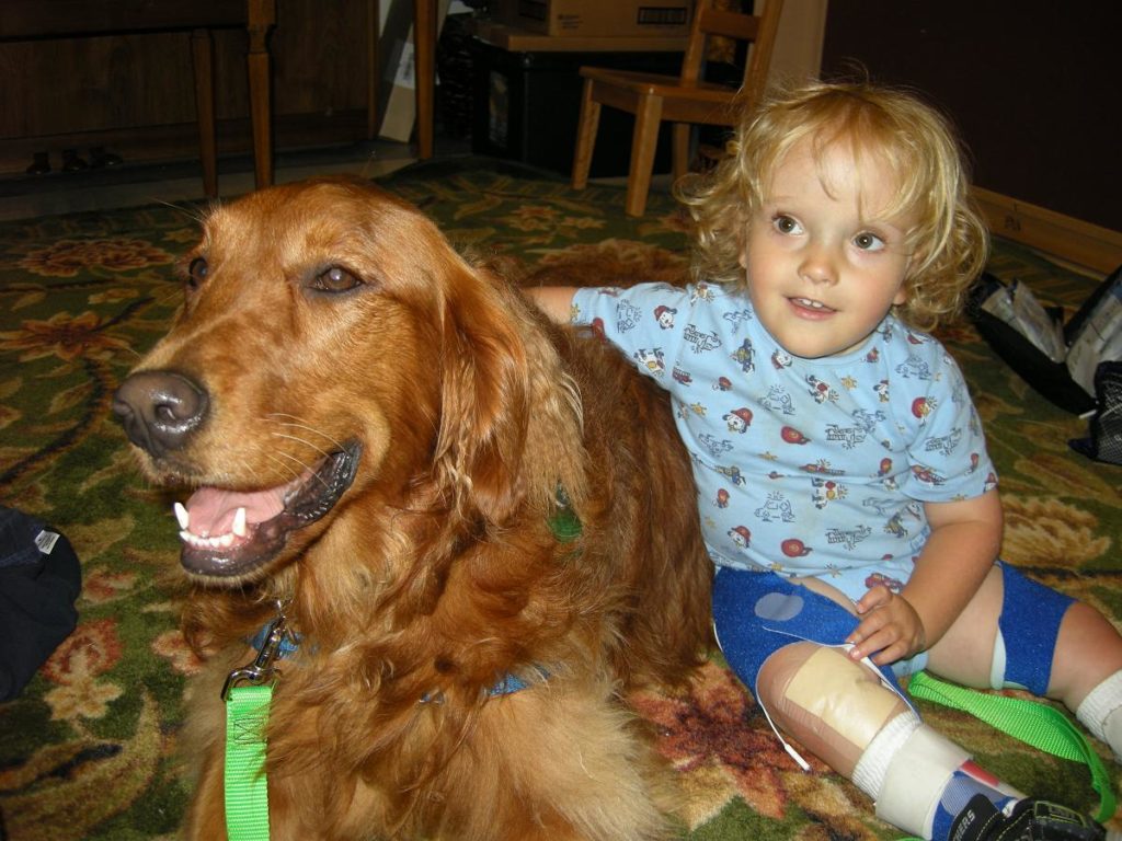 About Us | PAWS for People