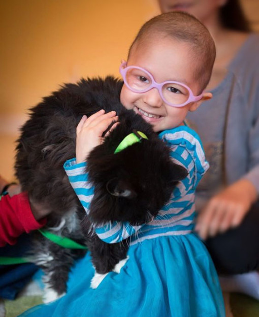 Our Programs | PAWS for People