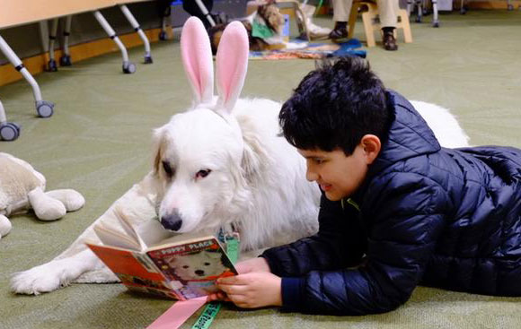 Sites We Visit | PAWS for People