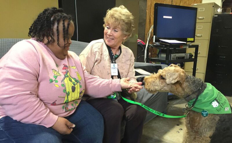 Get Involved | PAWS for People