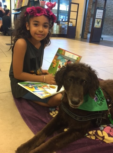 Ways to Support PAWS for People | PAWS for People