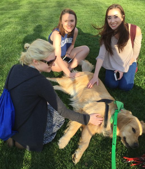 Our Programs | PAWS for People