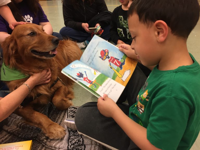 Team Visits and Stories | PAWS for People