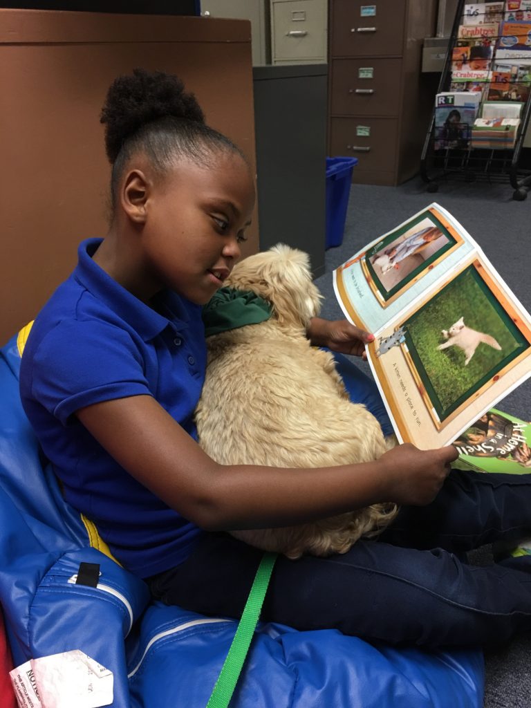 Team Visits and Stories | PAWS for People