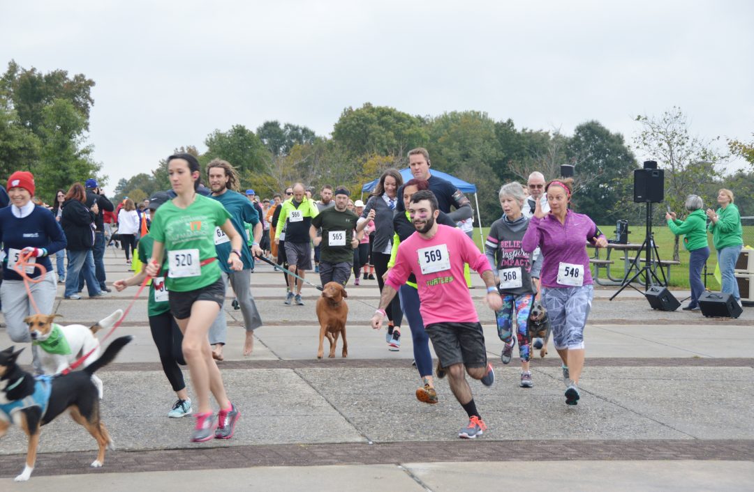 Wag-n-Walk | PAWS for People