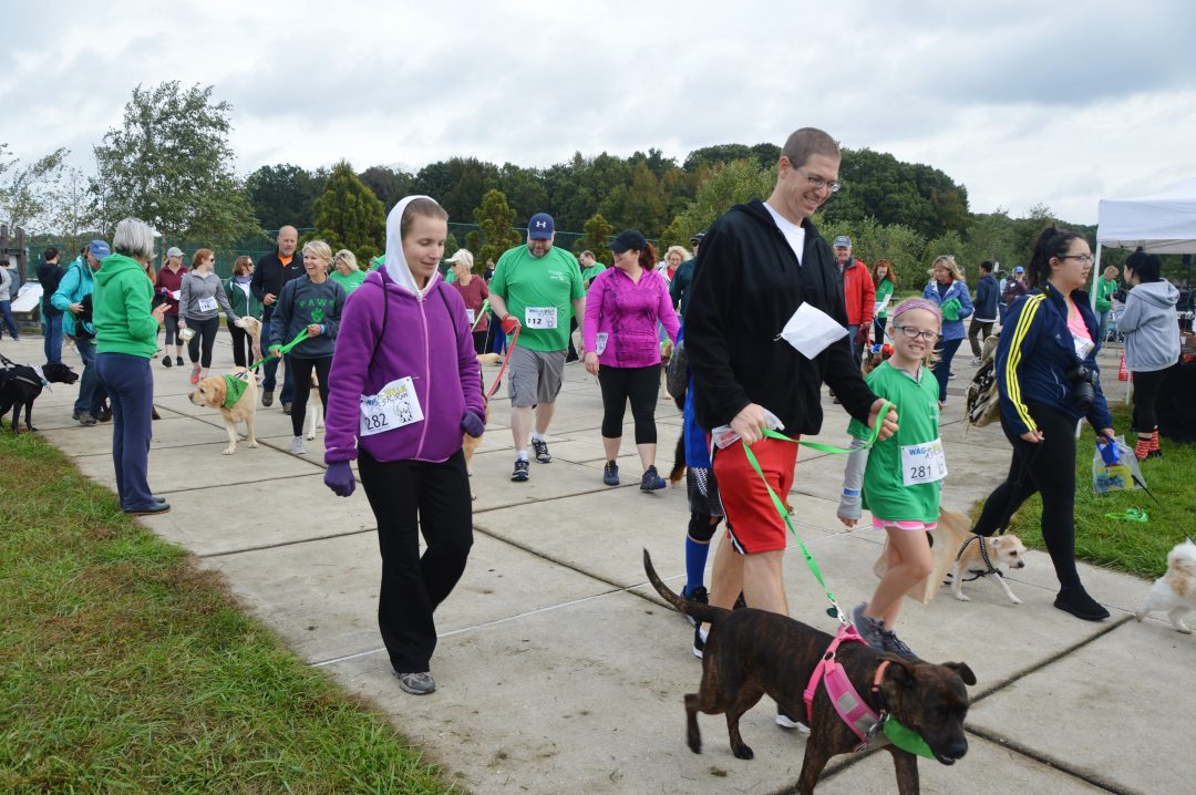 Wag-n-Walk | PAWS for People