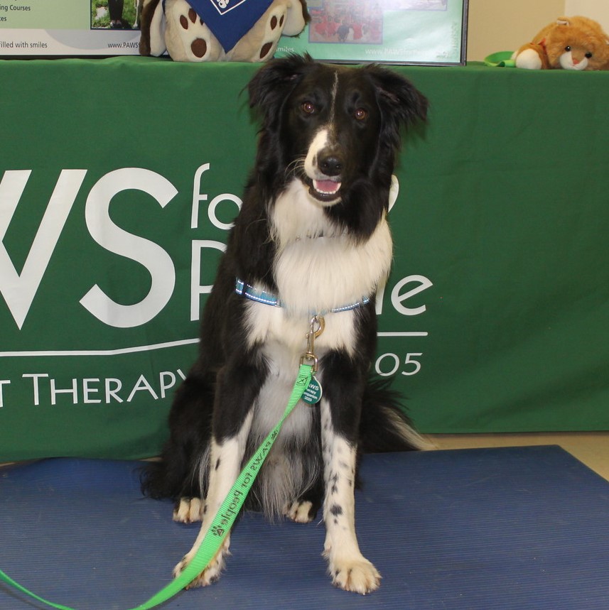 Finnley, Michelle Butler | PAWS for People