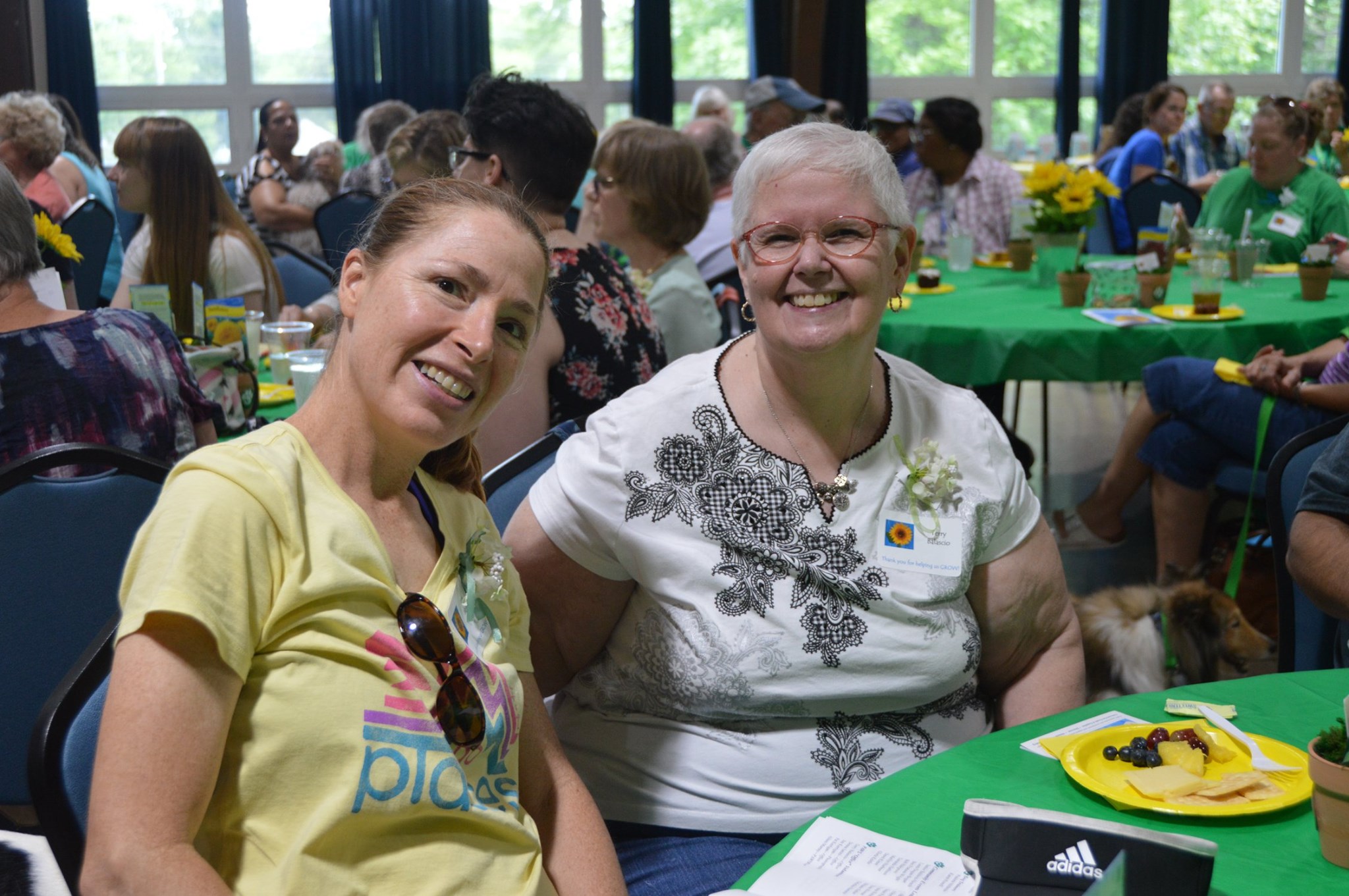 Photo Gallery | PAWS for People