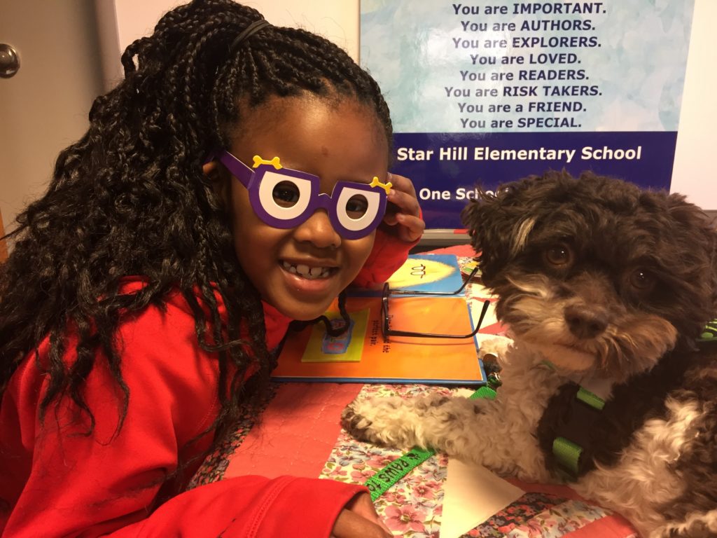 PAWS for Reading Libraries | PAWS for People